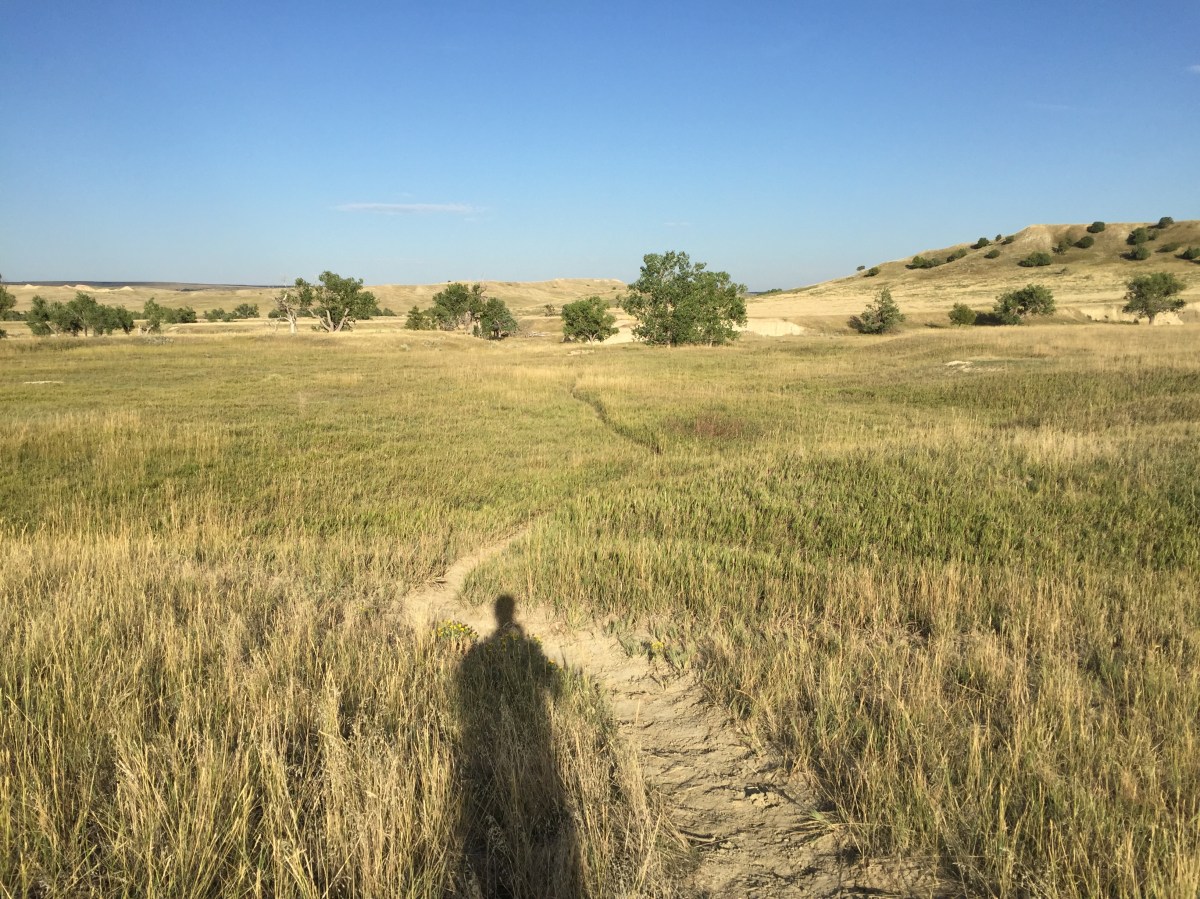 Representation – Daniel Barban Levin